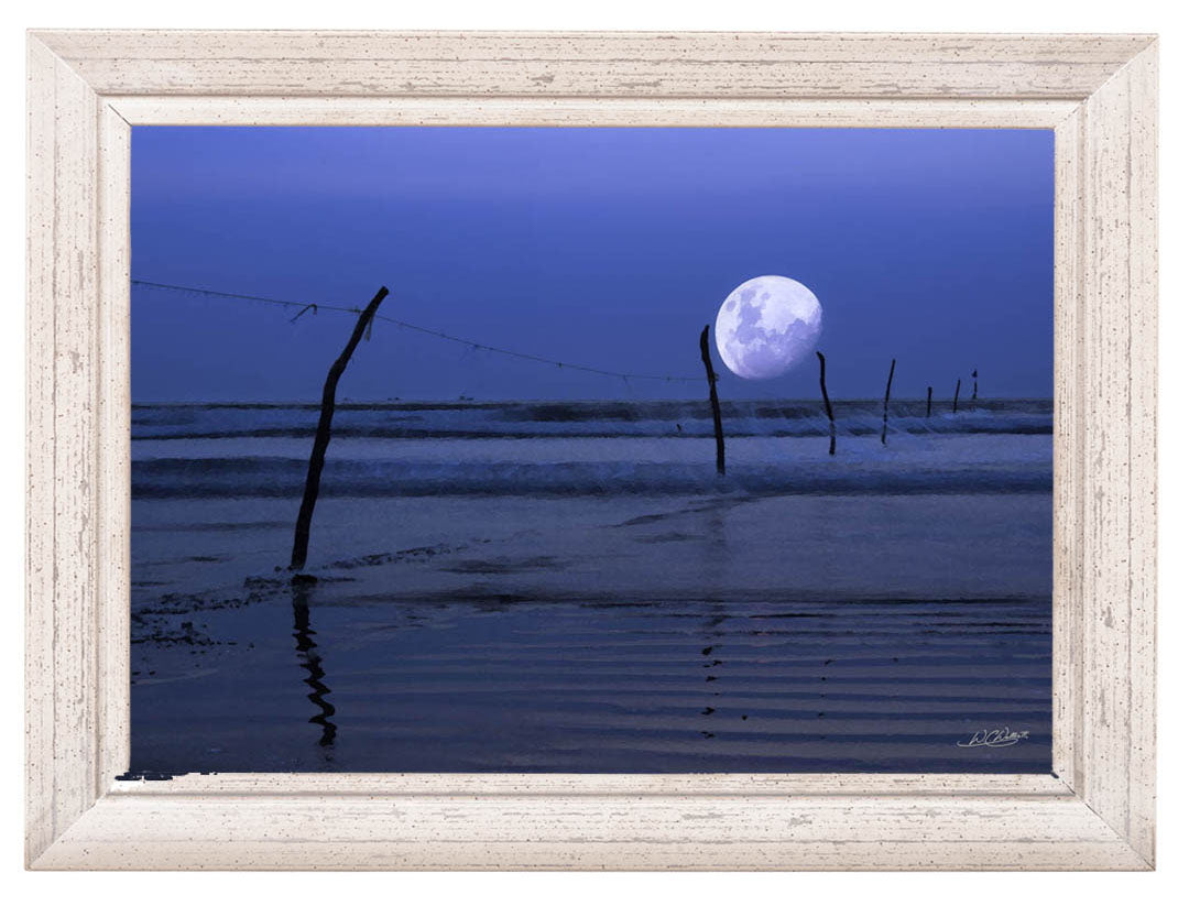Tidal Moon – Coastal Canva